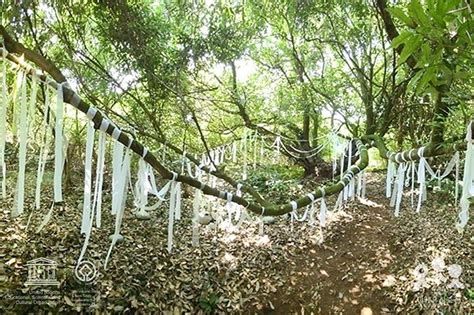 작품 읽어드리는 세계유산축전 이번엔 불의숨길 두 번째 길 동굴의 길에 있는 작품들을 소개해도록 하겠습니다 두 번째 길에는 6