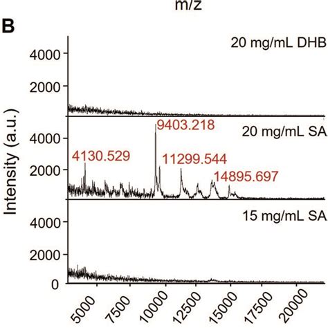 Effects Of Different Conditions On Protein Analysis Of Evs By Maldi Tof Download Scientific