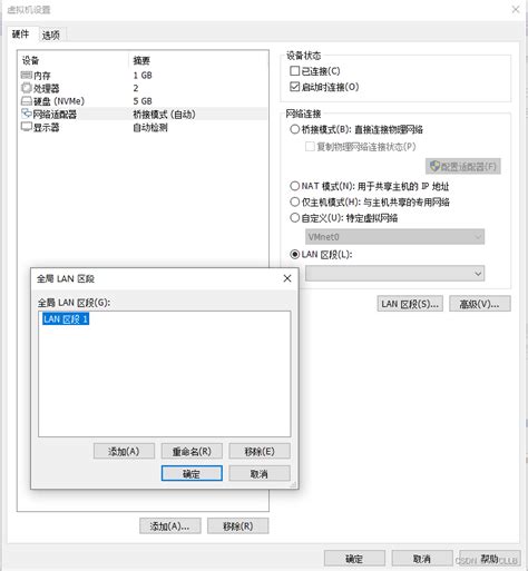 构建隔离lan区段：虚拟机间的独立网络 Csdn博客