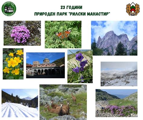 Природен парк Рилски манастир отбеляза 23 години от създаването си