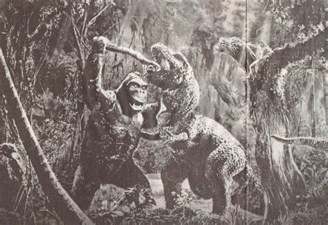 6 Ensure Media Acknowledgement Of Environmental Context Archives