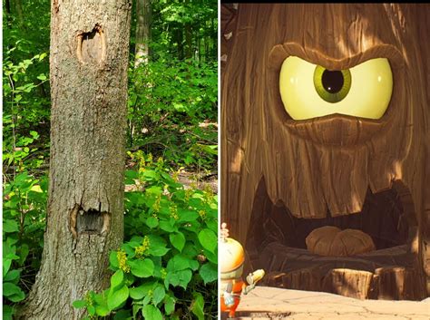 Look At This Tree I Found R Pvzgardenwarfare