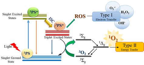 Sulphur And Selenium For Oxygen Replacement As A Strategy To Obtain Dual Type I Type Ii