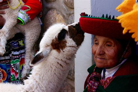 How To Survive South America Travel Tips South America Travel