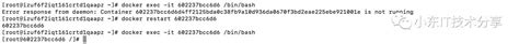 Docker 入门到实战教程三镜像和容器 Csdn博客