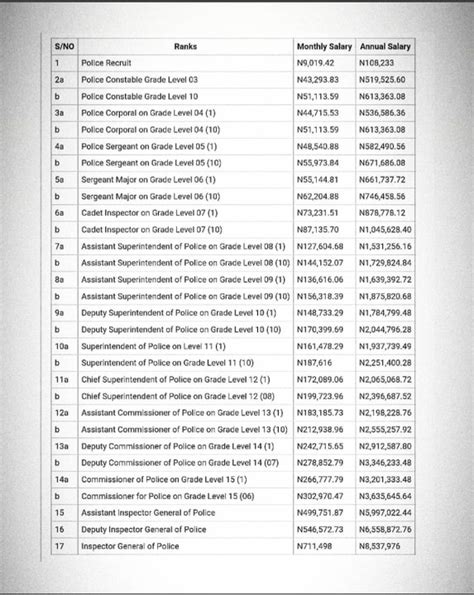 Salary Scale Of The Nigerian Police Force So Shameful Politics Nigeria