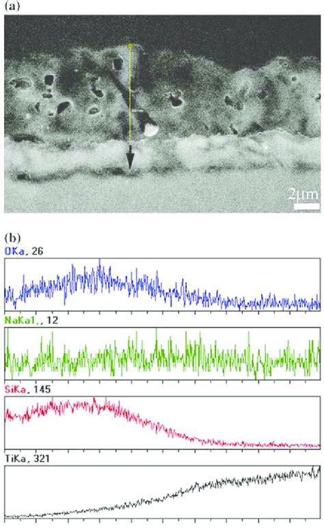 A Sem Image And B Line Scanning Profiles Of Elements Across The Coating