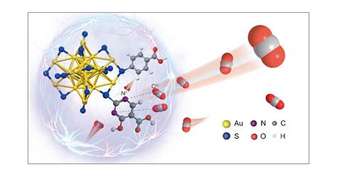 Enzyme Inspired Ligand Engineering Of Gold Nanoclusters For Electrocatalytic Microenvironment