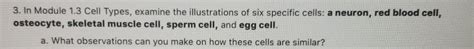 Solved 3 In Module 1 3 Cell Types Examine The