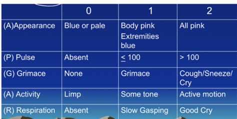 Peds 1 Review Flashcards Quizlet