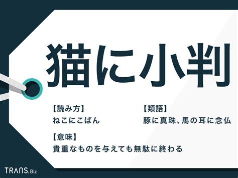 猫に小判の意味とは由来類語と使い方も解説例文付き TRANS Biz