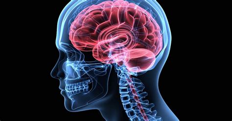 Qué Es El Síndrome De Susac La Enigmática Enfermedad Autoinmune Infobae