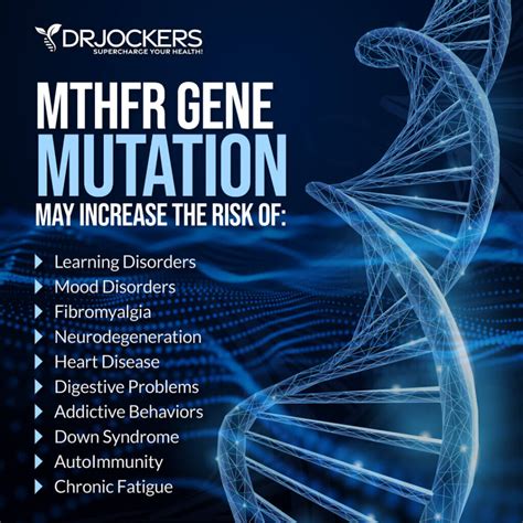 What Is The Mthfr Gene Mutation And Its Role In Health