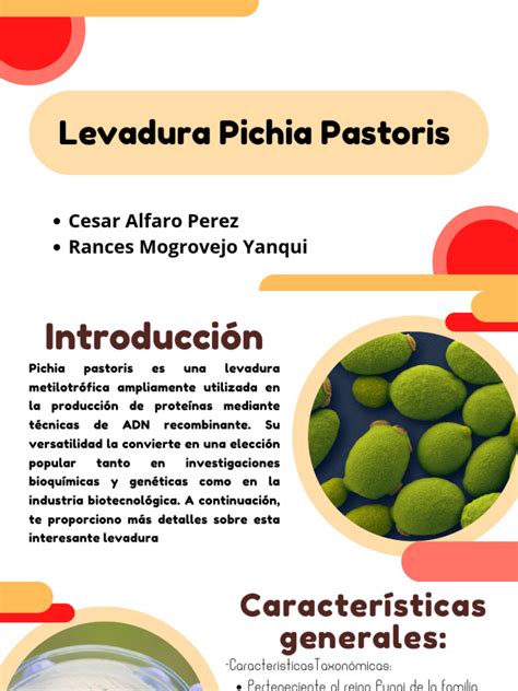 Levadura Pichia Pastoris Descargar Gratis Pdf Levadura Adn