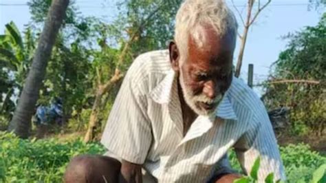 Cabinet Approves Rs 24475 Crore Subsidy On Pandk Fertilisers For Rabi