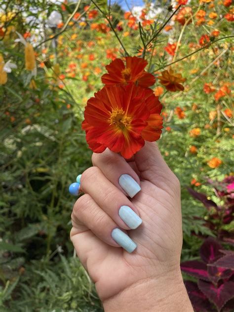 Pin De Aγarι Gaℓνιςιus 🌹 Em Para Tι Ĥℴℓa Unhas Naturais Unhas