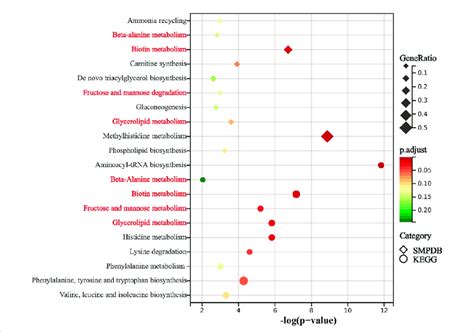 Summary Plot For KEGG And SMPDB Metabolic Pathway Analysis Of