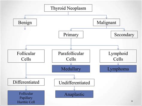 451 Thyroid Cancer Ppt Classification And Treatment Ppt