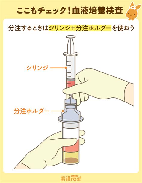 血液培養検査の順番がパッとわかる！｜根拠、よくあるギモンも解説！ 看護roo カンゴルー