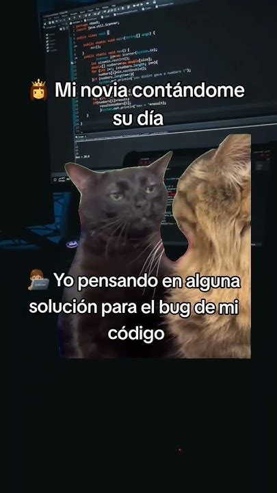 el desarrollador y su novia programming programador programacion
