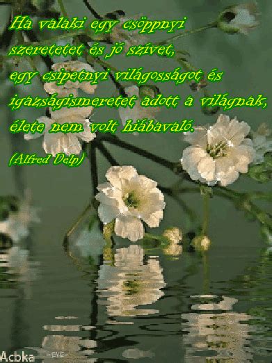 Szép, kedves idézetek, jókívánságok, szép képek: Ha valaki egy csöppnyi ...