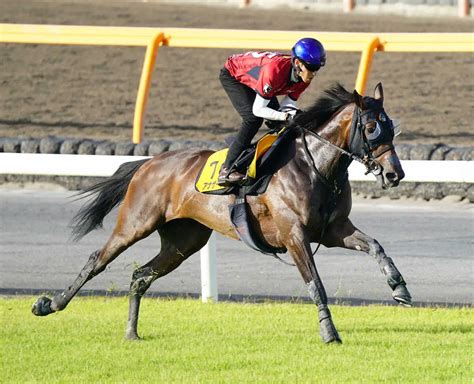 【関屋記念】アナザーリリック 逆襲準備ok 2戦2勝得意新潟で2度目重賞vだ スポニチ競馬web