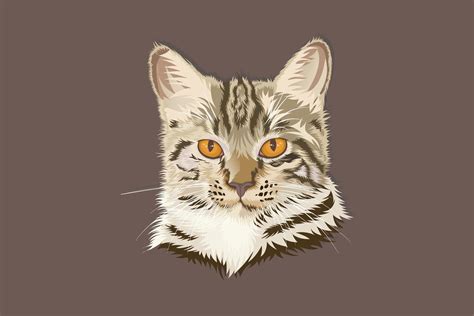 How To Draw A Realistic Cat Head