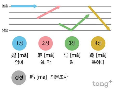 중국어 성조 따라하기 디지틀조선일보디조닷컴