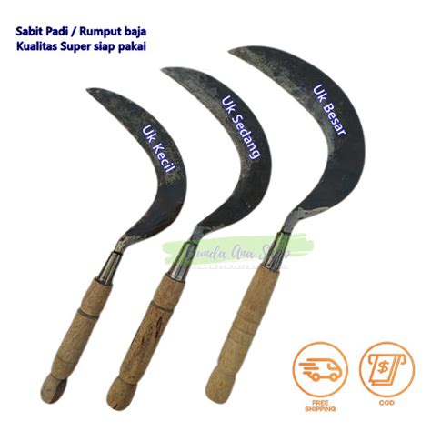 Jual Sabit Panen Padi Arit Baja Super Sabit Rumput Alat Berkebun Baja As Sedang Kab