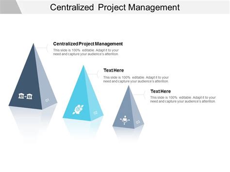 Centralized Project Management Ppt Powerpoint Presentation Outline Layout Ideas Cpb