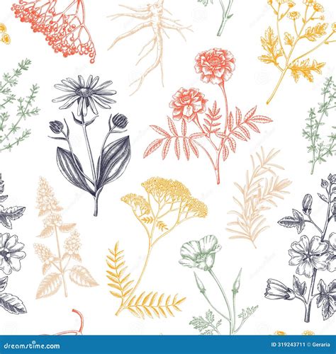 Apothecary Plant Background Medicinal Herbs Seamless Pattern Insects