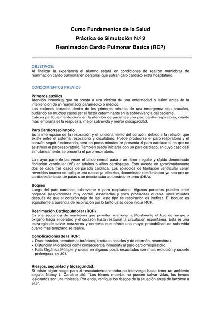Guía De Rcp Medicina Rcp Udocz