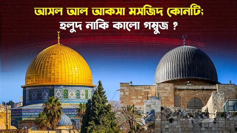 হলুদ নাকি কালো কোনটি আসল আল আকসা Youtube