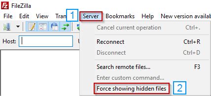 Allow Editing Of Hidden System Files Hostwinds