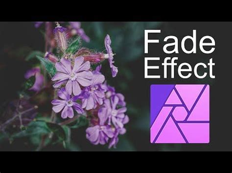Fade Or Matte Effect With Affinity Photo Free Macro Artofit