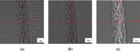 Figure 3 From The Effect Of Fiber Orientation On Stochastic