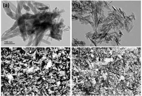 Morphology Characterisations Of Hydrothermally Synthesised Ha And
