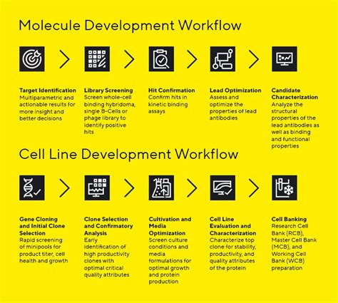 Unifying Biologics Development With A Single Vendor Workflow Drug