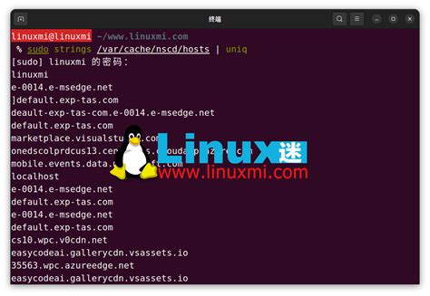 Linux Dns Linux