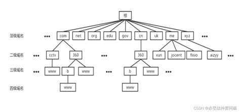 Linux基础——dns服务器原理及搭建linux Dns服务器搭建 Csdn博客