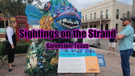 Walking Around The Strand Galveston S Historic District What We Saw