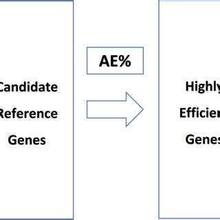 Diagram Of Experimental Design Cv Coefficient Of Variance Calculated