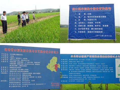 胡培松副所长考察湖南早稻生产中国水稻研究所