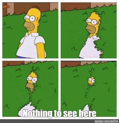 Meme Nothing To See Here All Templates Meme