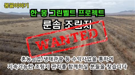 몽골룬솜지속가능한 조림지 관리를 위한 혼농임업 생태관광 Youtube