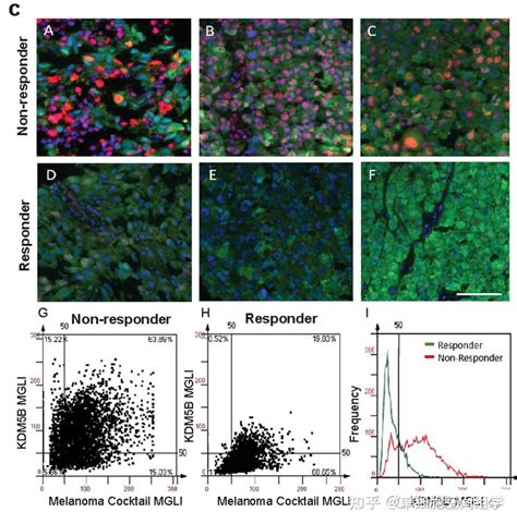Nature Tissuefaxs Cytometry助力耶鲁大学严钦团队发现肿瘤免疫治疗新靶点kdm5b的表观遗传学调控机制 知乎
