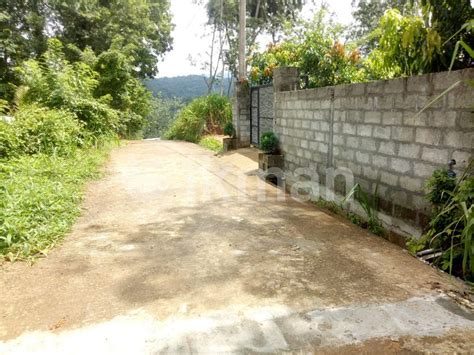 Land For Sale Nelum Deniya Alawwa Road Ikman