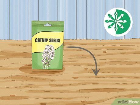 How To Grow Catnip 11 Steps With Pictures WikiHow