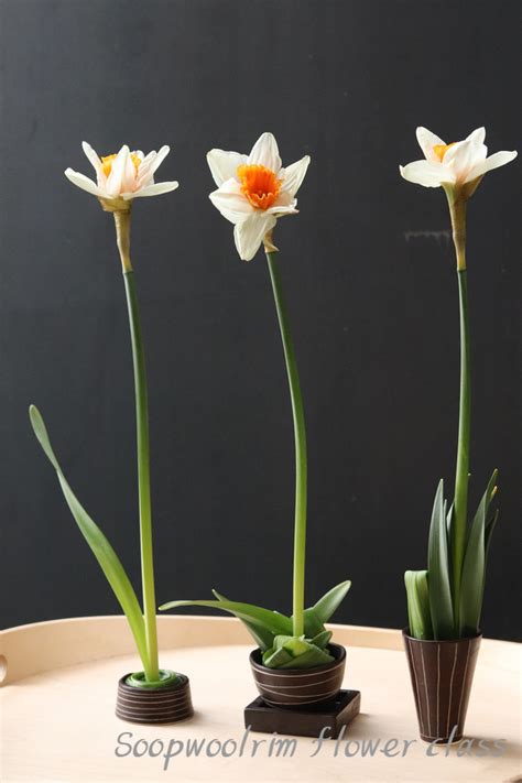 봄의향기 수선화 하나쿠바리 월간플로라 2월호 도쿄마미플라워디자인스쿨 숲울림플라워클래스 서촌플라워레슨 마미플라워디자인스쿨 한국