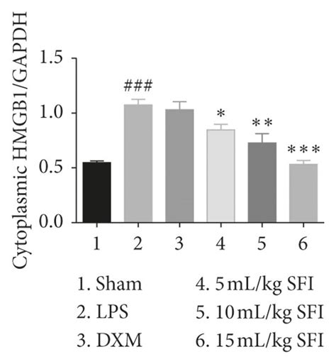 Sfi Inhibits The Translocation Of Hmgb1 And P65 Between The Nuclei And